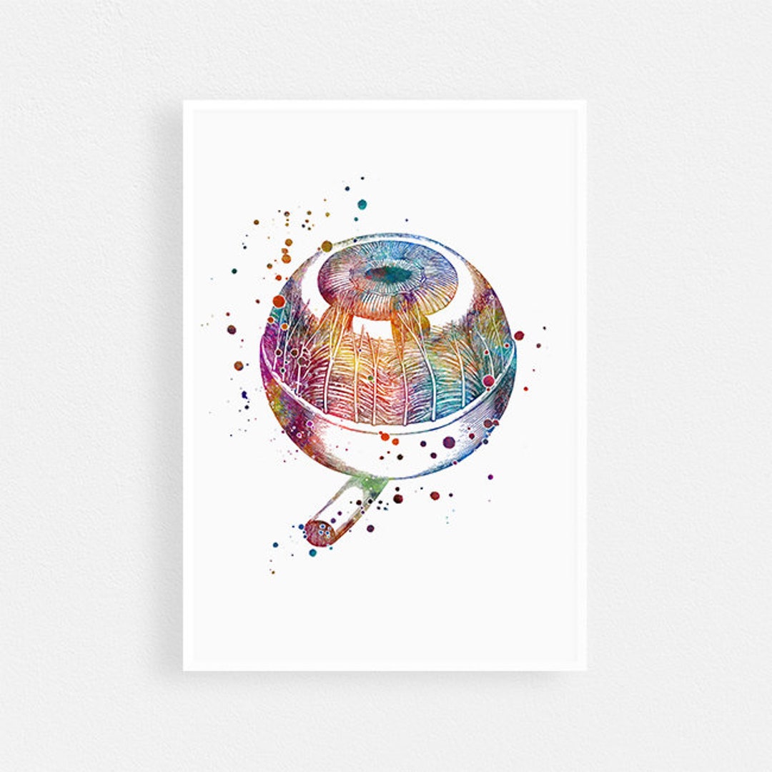 Eye Doctor Office Decor, Human Eye Anatomy Art Watercolor Print, Eye ...