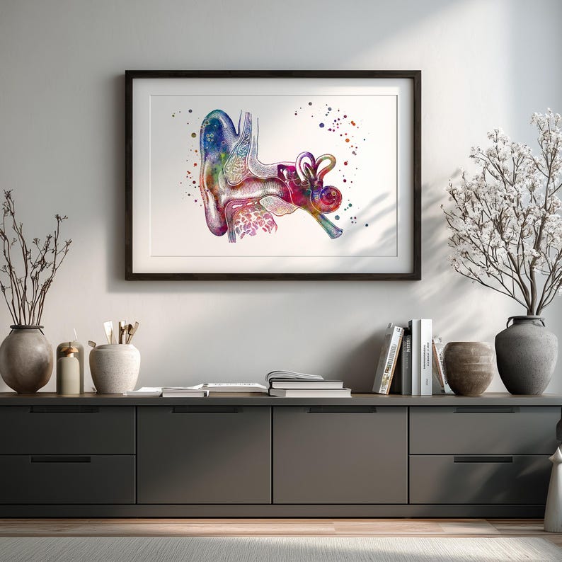 Audiology Art Audiologist Gift Human Ear Anatomy Watercolor Print ...