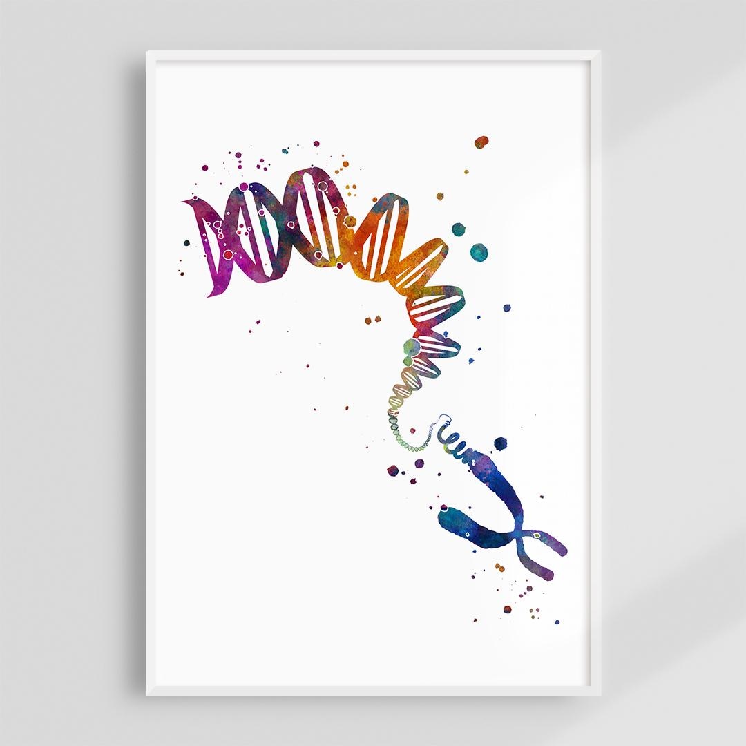 Genetics Art, DNA Chromosome Watercolor Print, Biology Health Science ...