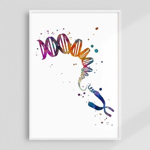 Genetics Art, DNA Chromosome Watercolor Print, Biology Health Science ...