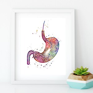 Endoscopy Gastroenterology Watercolor Art Print, Endoscope Poster, GI ...
