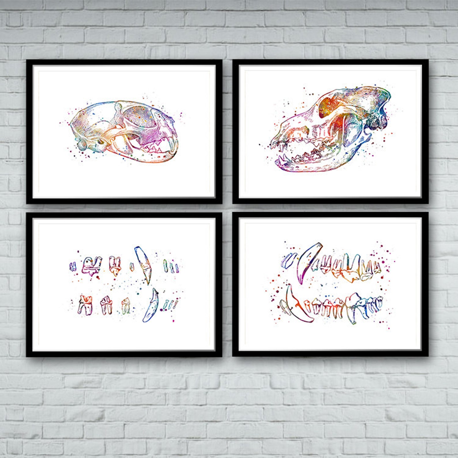 Veterinary Dental Clinic Wall Decor Dog and Cat Dentistry - Etsy