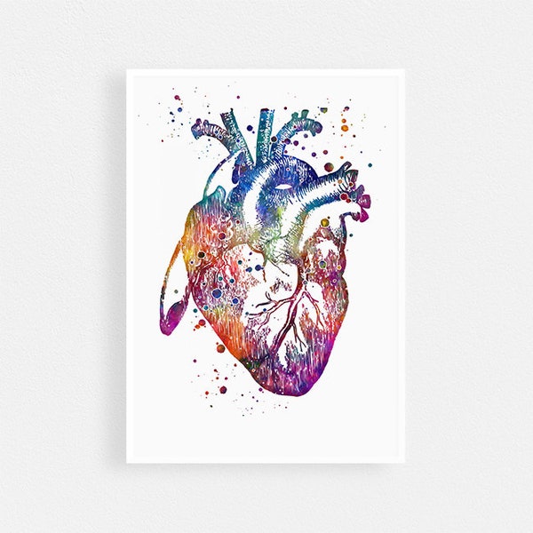 Anatomical Heart Art - Etsy