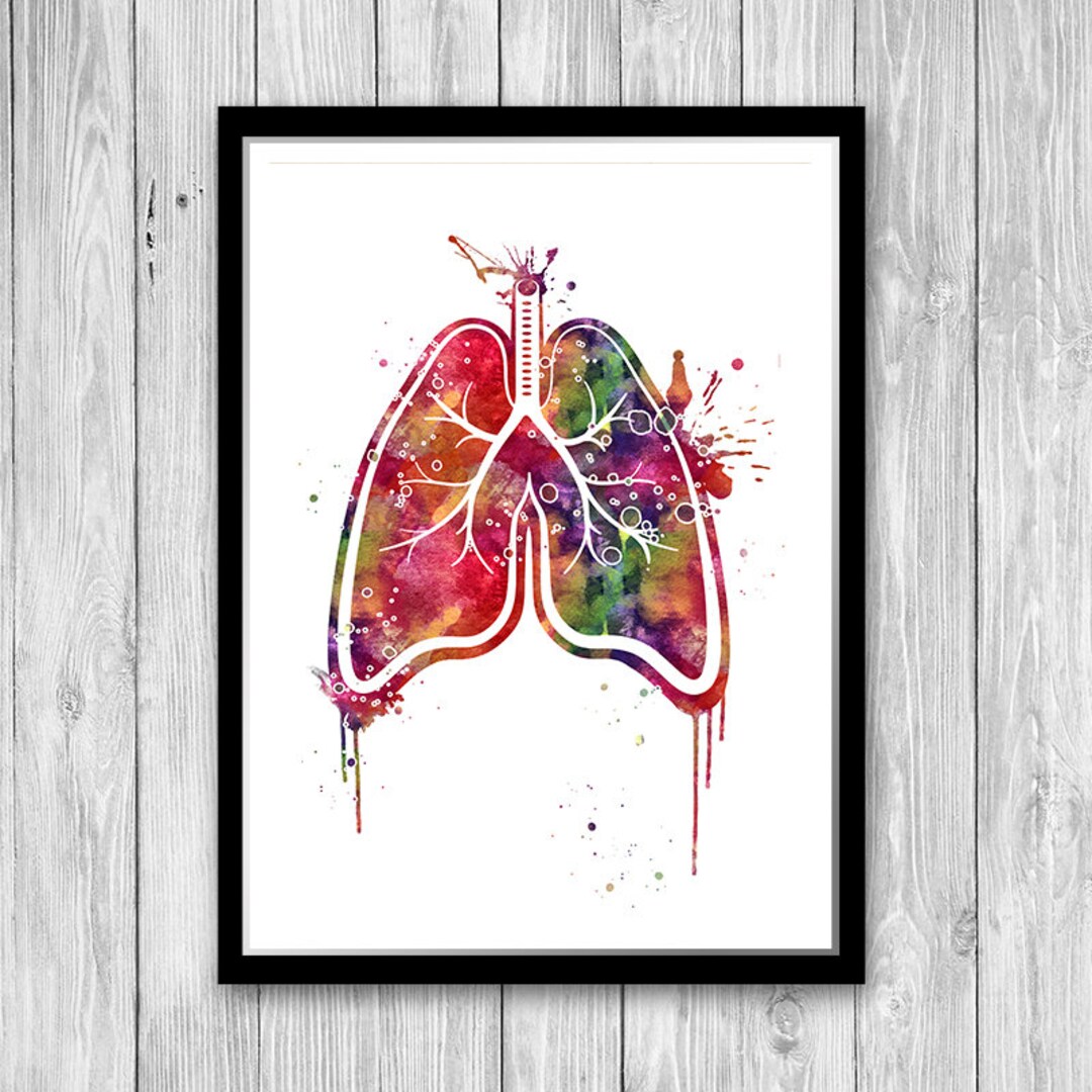 Human Lungs Respiratory Anatomical Art Watercolor Print School - Etsy
