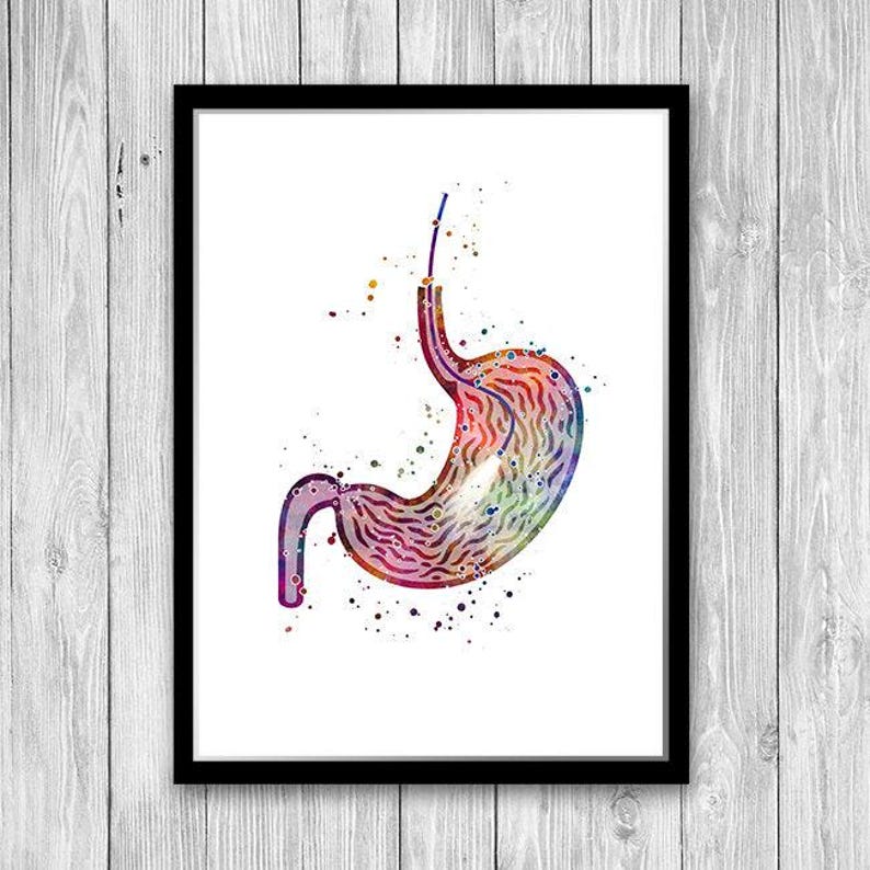 Endoscopy Gastroenterology Watercolor Art Print, Endoscope Multicolored ...