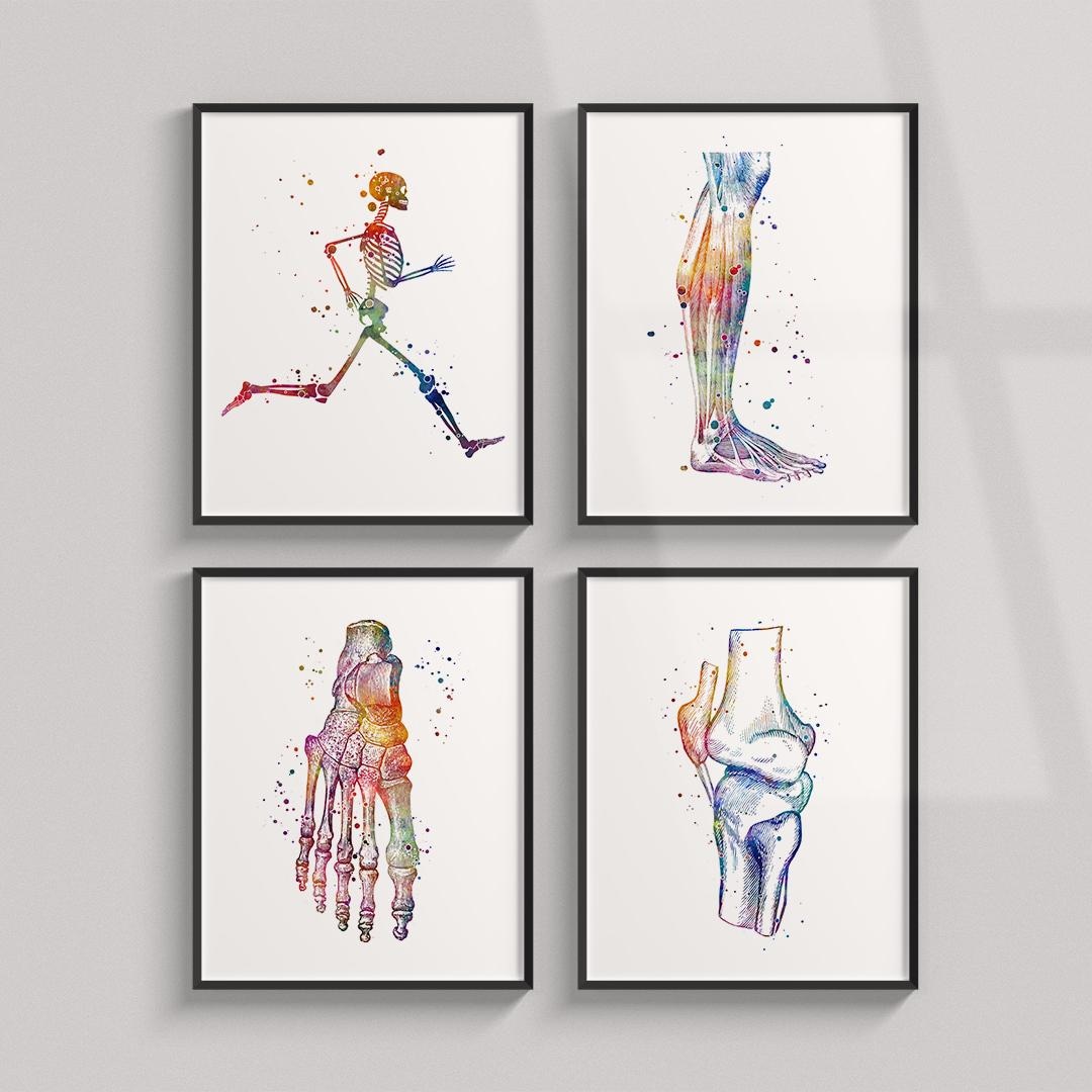 Physical Therapy Clinic Wall Art, Physiotherapist Office Decor ...