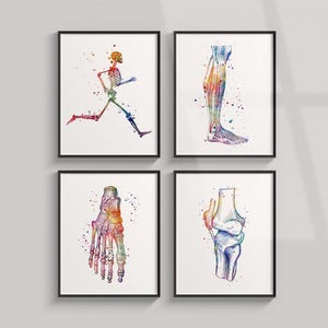 Physical Therapy Clinic Wall Art, Physiotherapist Office Decor ...