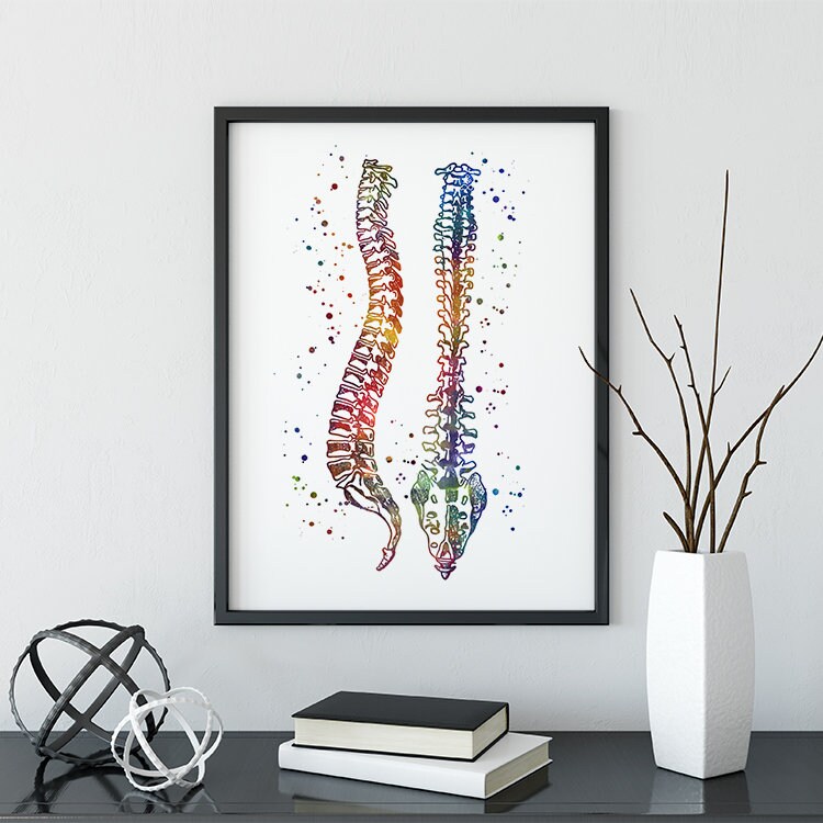 Chiropractic Clinic Decor Human Spine Watercolor Print Wall | Etsy