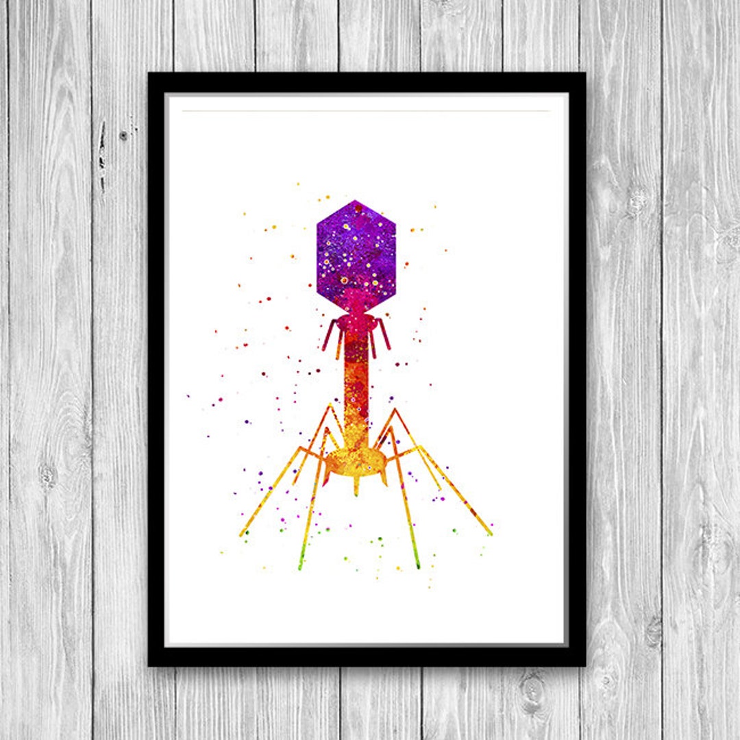 Microbiology Bacteriophage Art Watercolor Virus Print Science Art Wall ...
