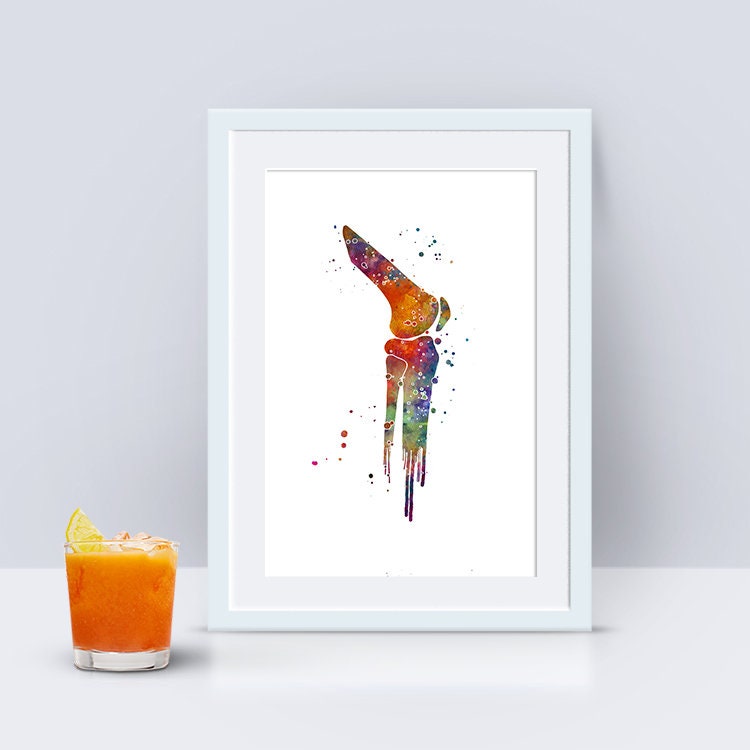 Knee Joint Anatomy Art Watercolor Print Orthopedic Surgeon | Etsy