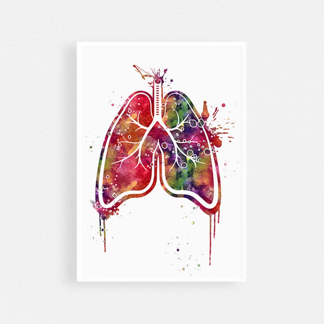 Human Lung Anatomy Art Print, Multicolored Medical Poster, School Nurse ...