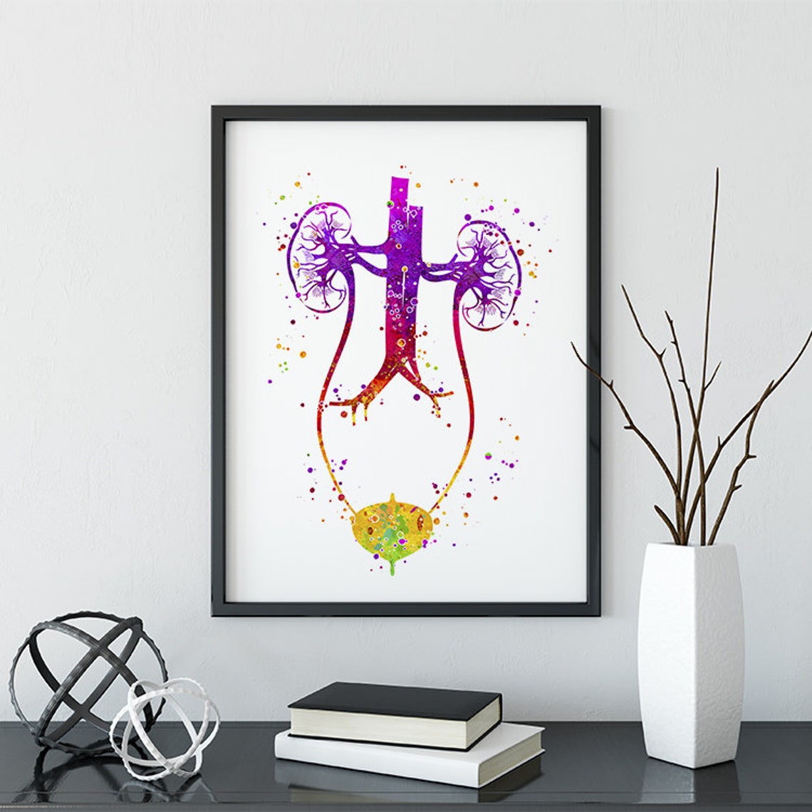Urology Art Kidney Urinary Tract System Bladder Anatomy Art | Etsy