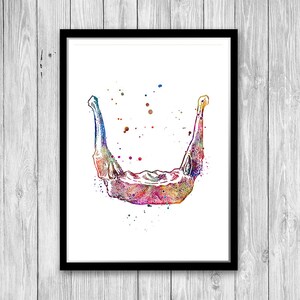 Hyoid Bone Print, Sleep Doctor Office Decor, Multicolored Watercolor ...