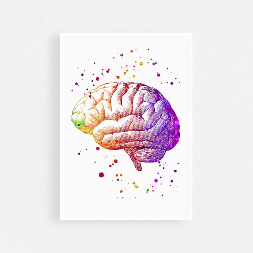 Watercolor Human Brain Art Print Neurology Wall Decor Anatomy ...