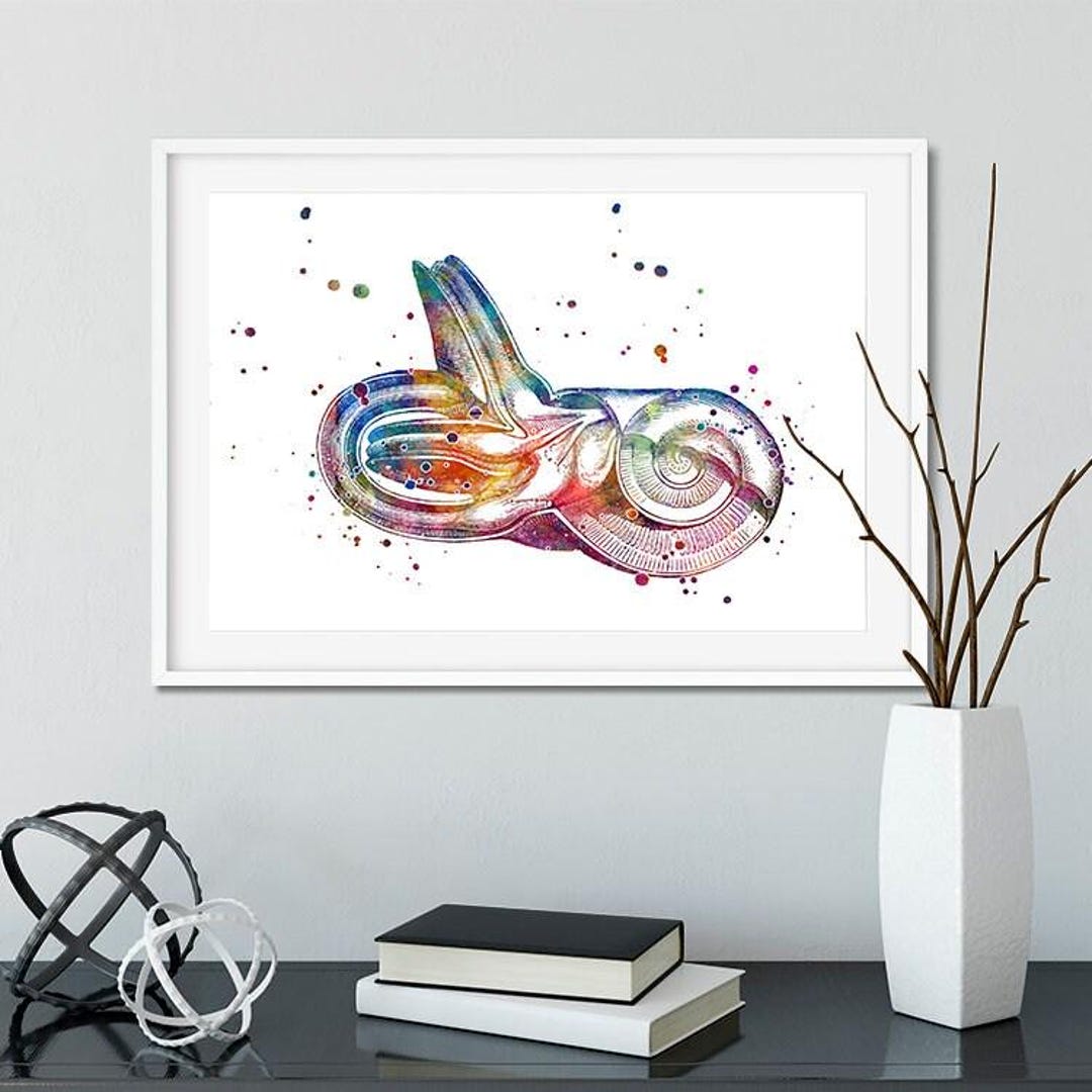 Audiology Art | Inner Ear Watercolor Print | Ear Nose Throat ENT Doctor ...