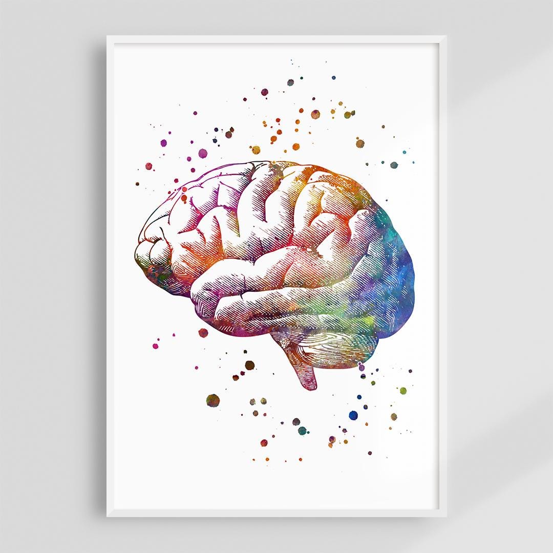 Human Anatomy Art Print, Brain Watercolor Artwork, Neuroscience ...