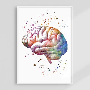 Human Anatomy Art Print, Brain Watercolor Artwork, Neuroscience ...