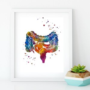 Large and Small Intestine Watercolor Print, Gi Tract Anatomical Poster ...