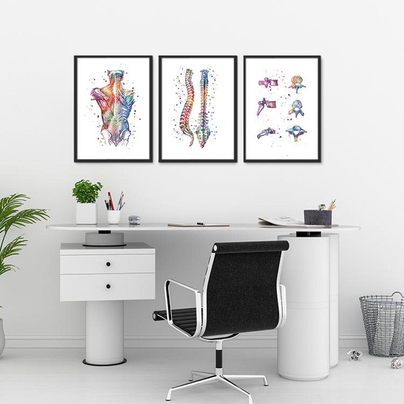 Physical Therapy Art, Set of 3 Watercolor Medical Posters, Chiropractic ...