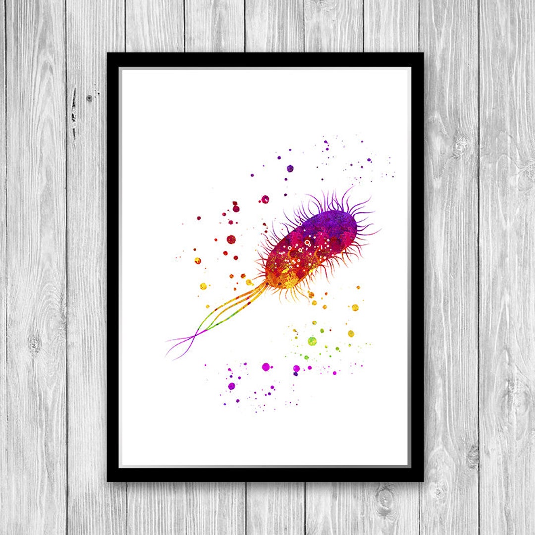 Bacterium Print, Escherichia Coli Watercolor Art Print, Microbiology ...