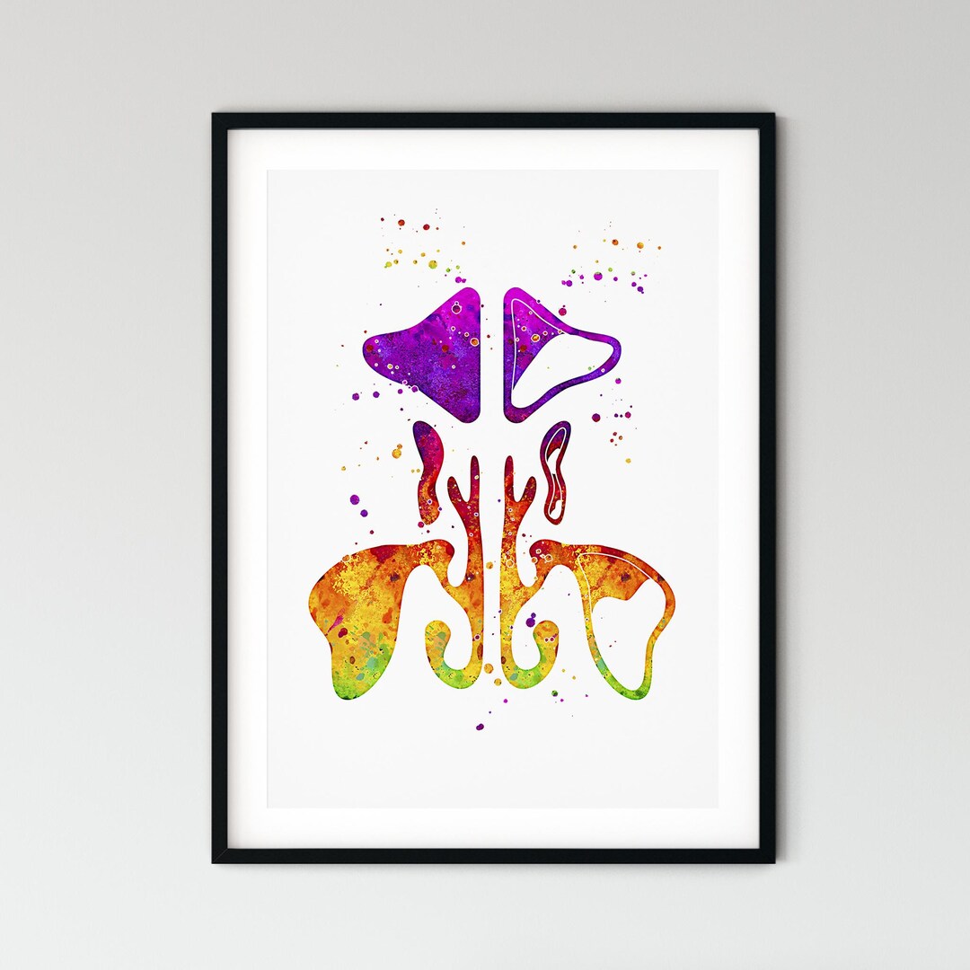 Paranasal Sinuses Poster, ENT Clinic Print, Nasal Cavity Medical ...