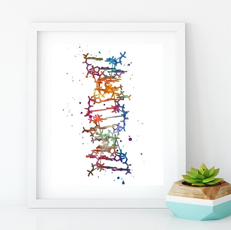 DNA Art Set of 3 Watercolor Prints A B and Z Forms of DNA | Etsy