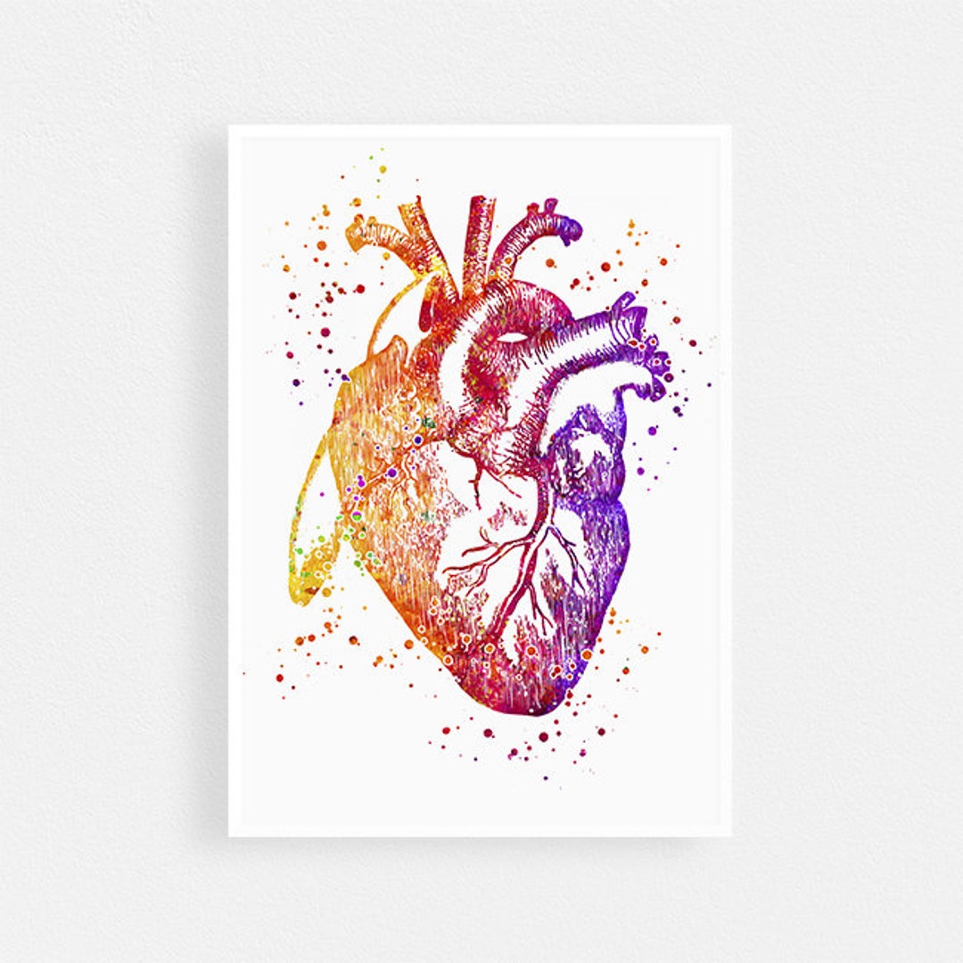 Anatomy Art, Human Heart Art Print, Valentines Gifts for Doctor - Etsy