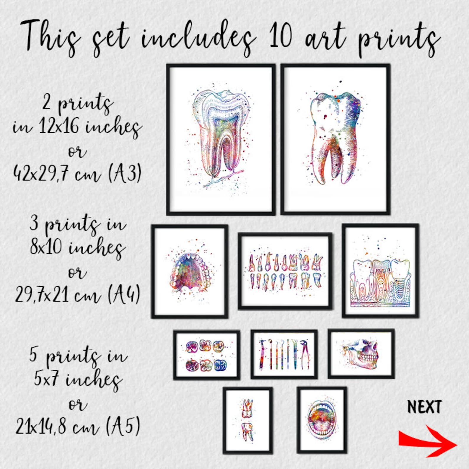 Dental Art for Dentist Office Wall Decor, Set of 10 Watercolor Prints ...