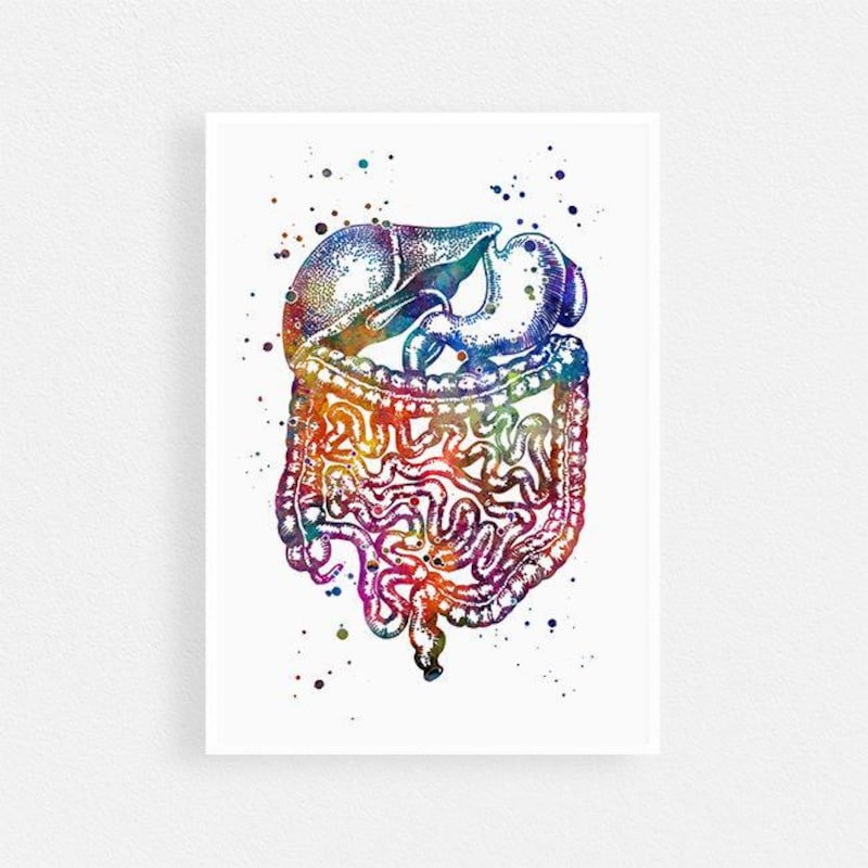 Picturers of Tract - Etsy UK