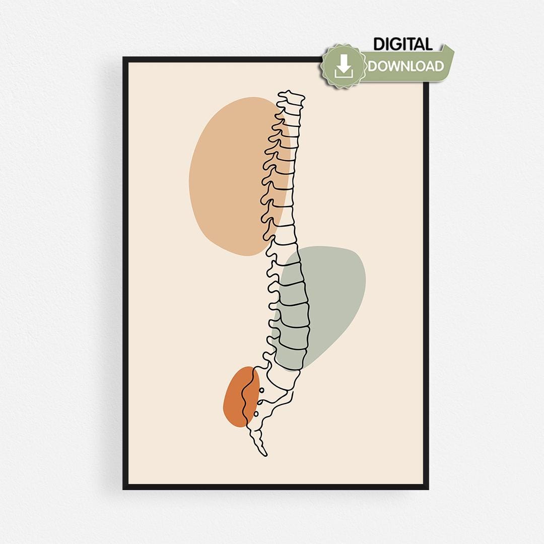 Spine Printable, One Line Spine Art, Boho Anatomy Decor, Chiropractor ...