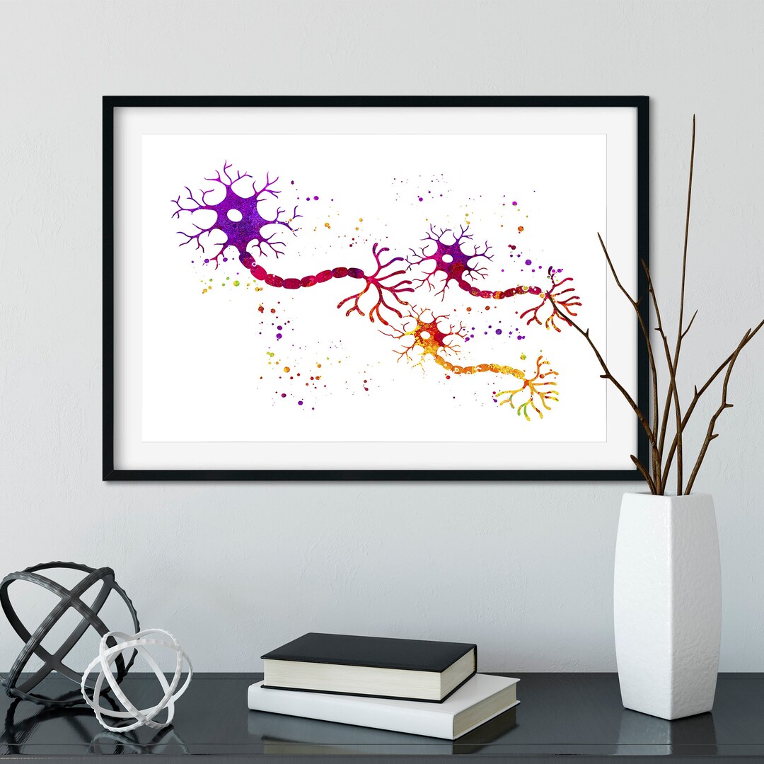 Connexion of Neurons Nerve Impulse, Neuroscience Art Watercolor Print ...