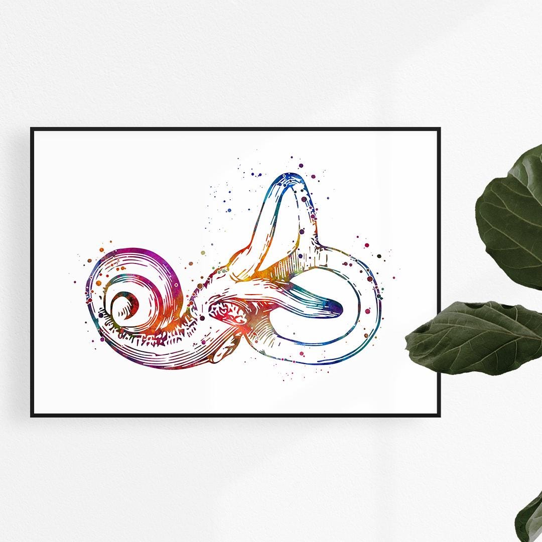 Cochlea Wall Art Print, Watercolor Inner Ear Anatomy, Audiology Decor ...