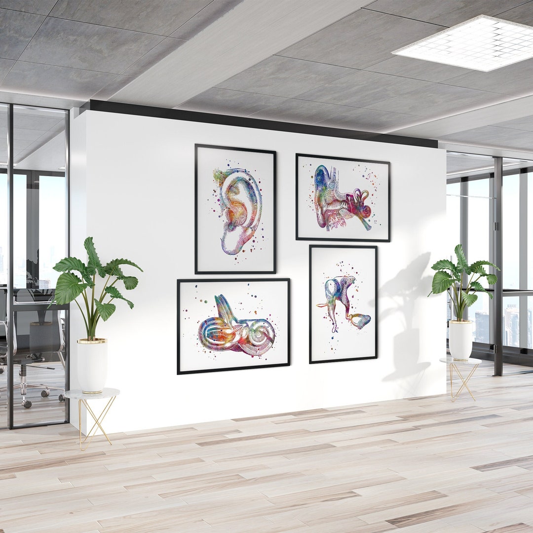 Audiology Art | Ear Anatomy Set of 4 Multicolored Watercolor Prints ...