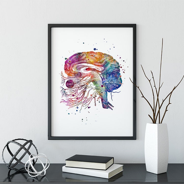 Neuroscience Art Brain Cranial Nerves Anatomy Poster | Etsy