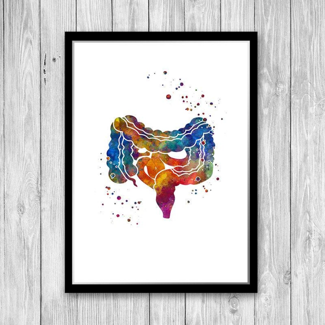 Large and Small Intestine Watercolor Print, Gi Tract Anatomical Poster ...