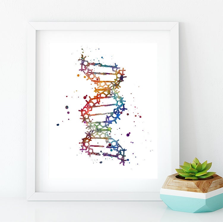 DNA Art Set of 3 Watercolor Prints A B and Z Forms of DNA - Etsy