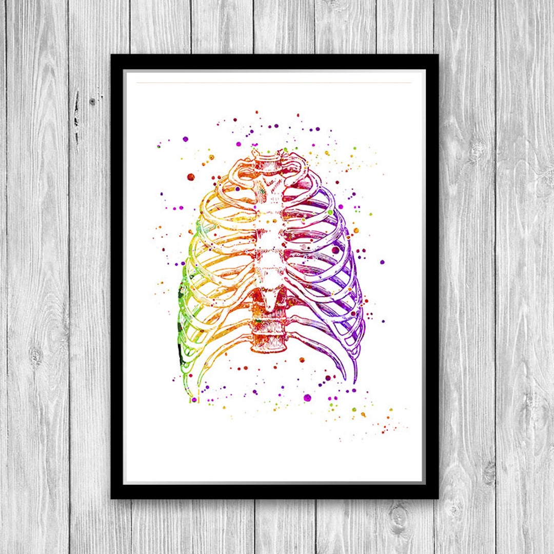 Rib Cage Anatomy Art Thorax Chest Bones Print Clinic Decor Medical ...