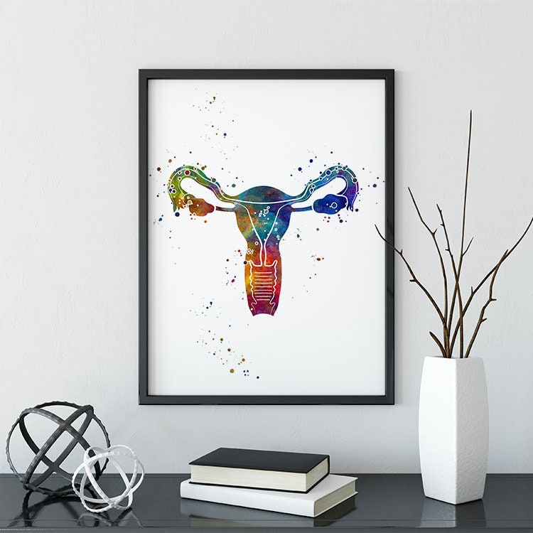 Uterus Anatomy Art Watercolor Print Female Reproductive System - Etsy