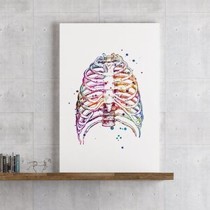 Thorax Watercolor Print Human Chest Anatomy Art, Doctor Office Decor ...