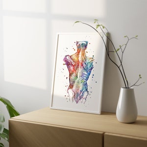 Back Muscles Watercolor Print - Human Anatomy Muscular System Poster ...