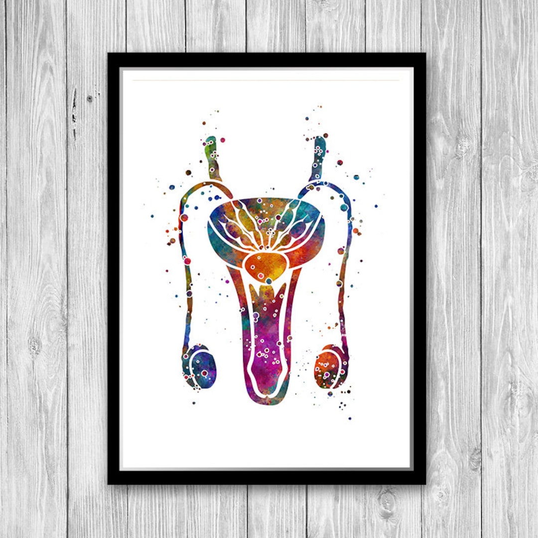 Male Anatomy Reproductive System Watercolor Print Urology Art Fertility ...