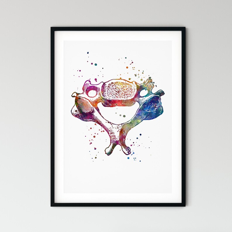 Cervical Vertebrae Wall Art Print, Watercolor Anatomy Poster ...