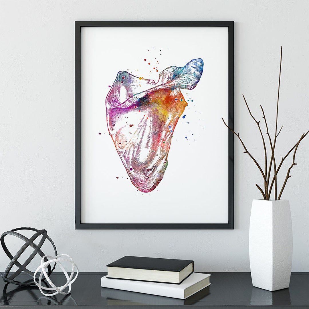 Scapula Anatomy Art Print, Multicolored Watercolor Artwork, Doctor ...