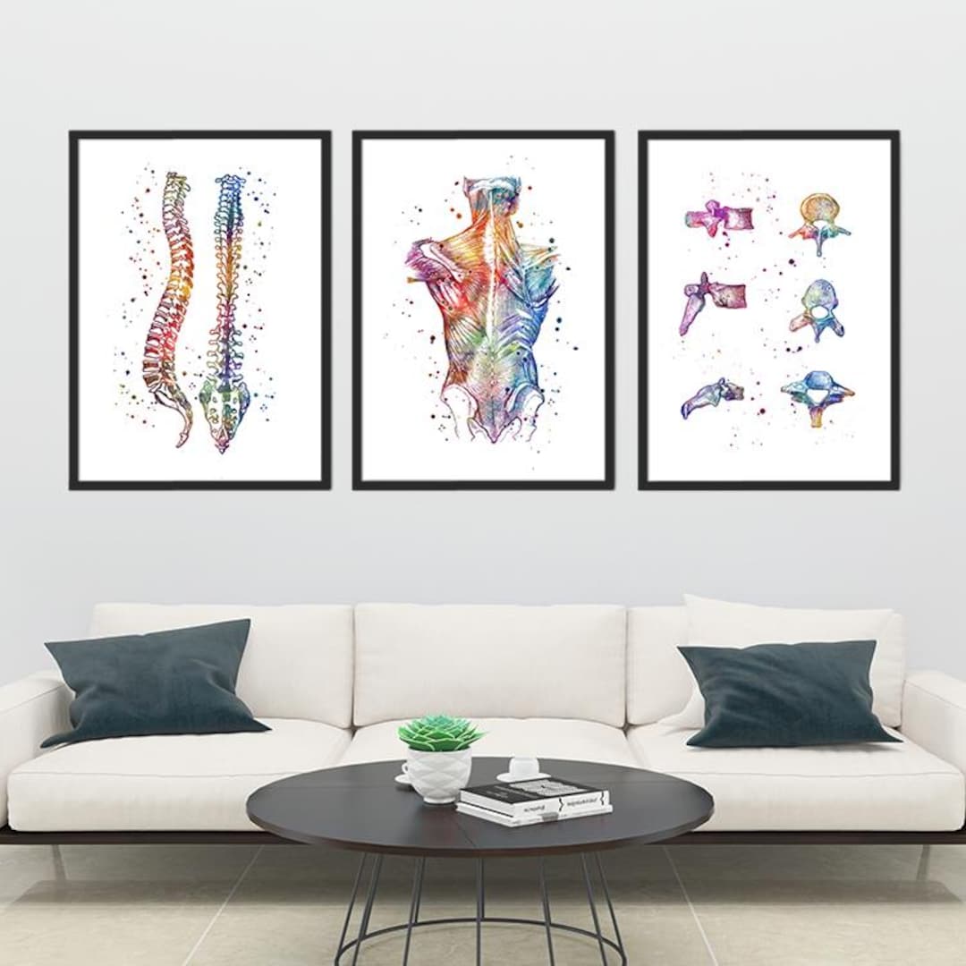 Physical Therapy Art, Set of 3 Watercolor Medical Posters, Chiropractic ...
