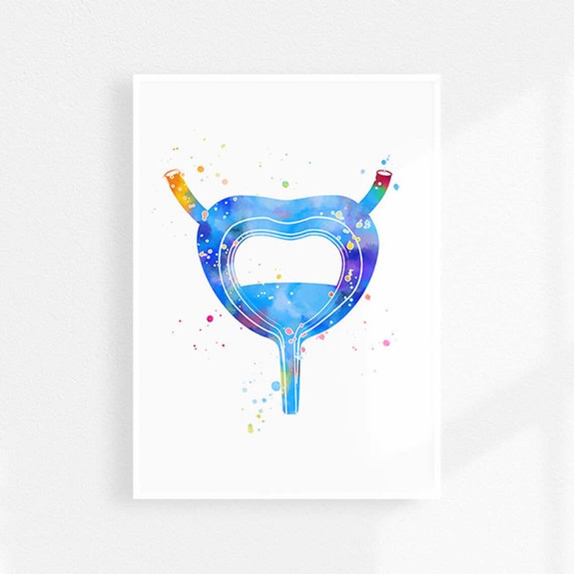 Urologist Gift Urology Art Set Prints Watercolor Anatomy - Etsy