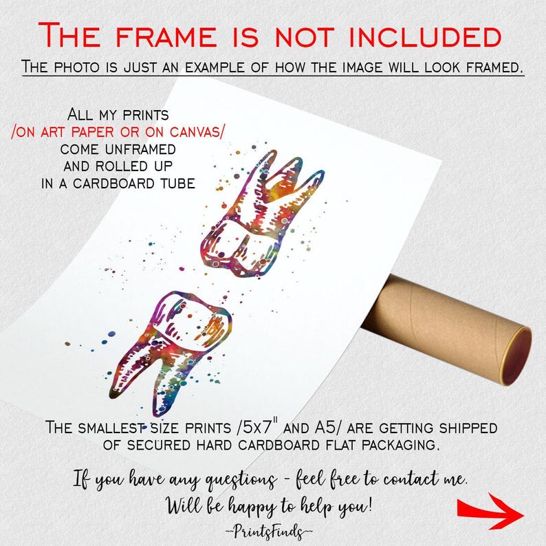 Watercolour Molar Anatomy Print, Tooth Roots Poster, Dental Clinic Wall ...