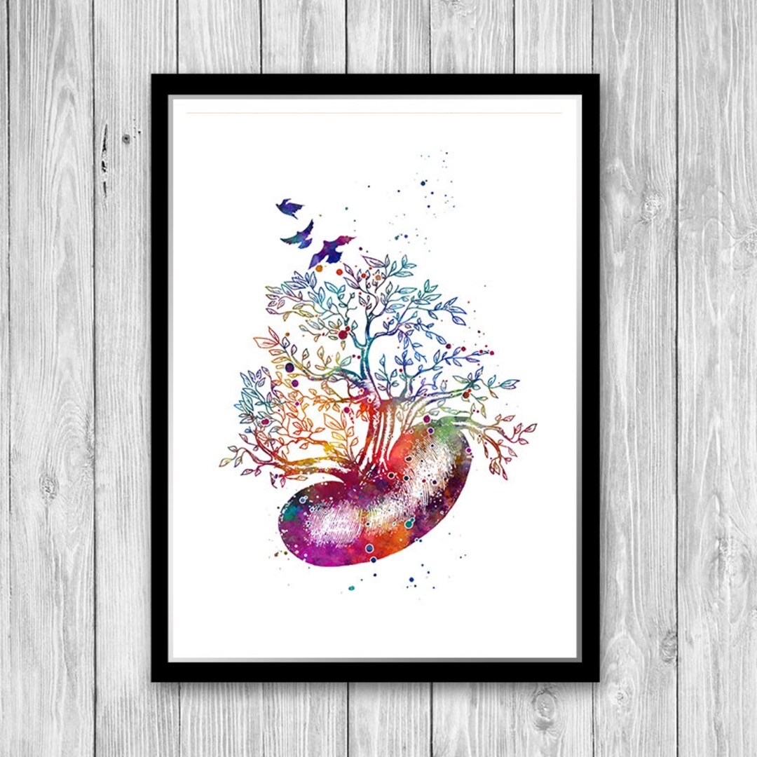 Kidney Tree Anatomy Art Watercolor Print Kidney Transplant - Etsy