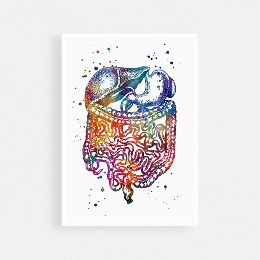 Gastrointestinal Tract Anatomy Art Watercolor Print, Human Internal ...
