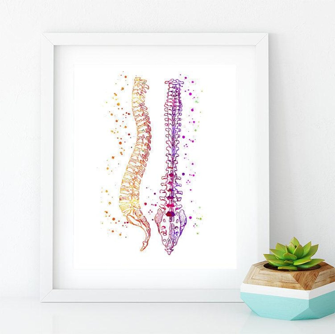 Spinal Column, Human Spine Anatomy Art Watercolor Print, Vertebral ...