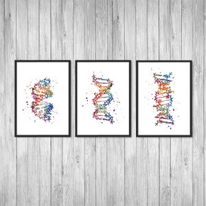 DNA Art Set of 3 Watercolor Prints A, B and Z Forms of DNA Biology ...